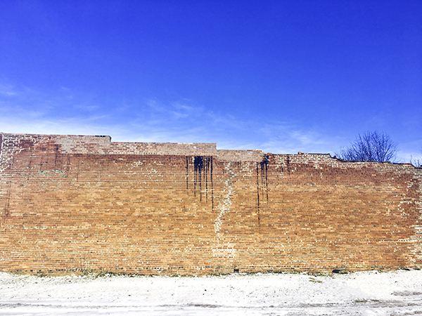 Forgottonia — Photography by Jane Carlson – the museum of americana: A ...