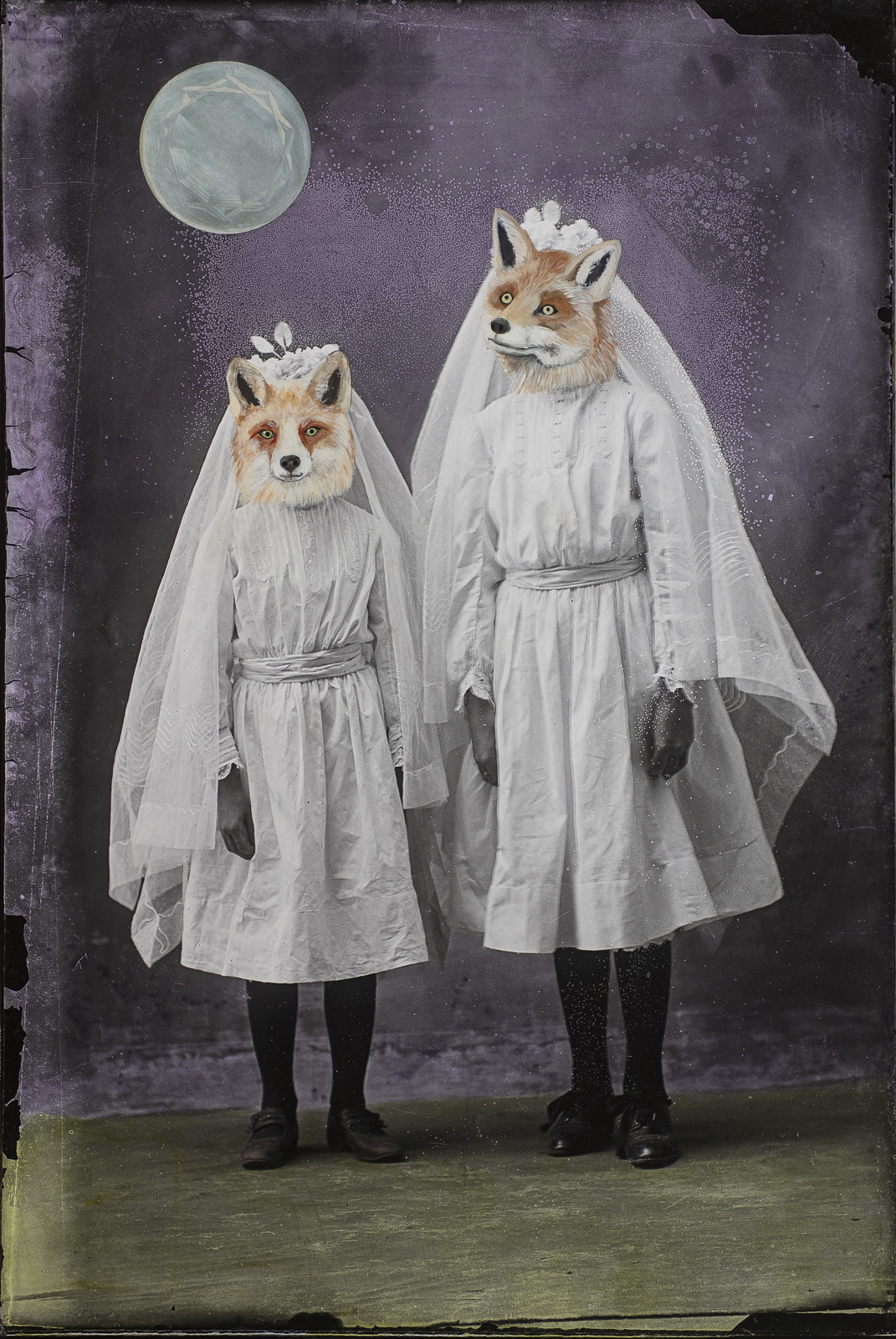 Art by Alexandra Eldridge – the museum of americana: A LITERARY REVIEW