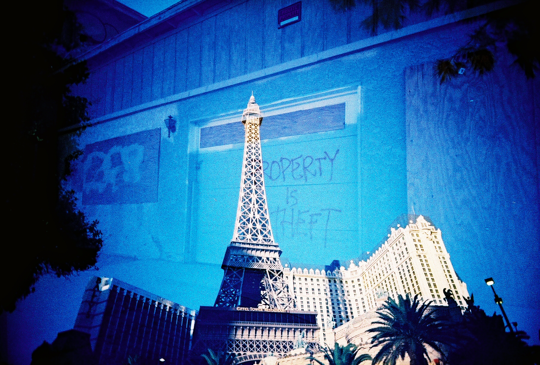 Local Vantages – the museum of americana: A LITERARY REVIEW